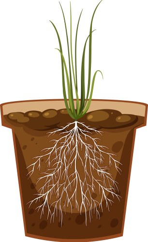 Cartoon Plant Root Vector Images (over 13,000)