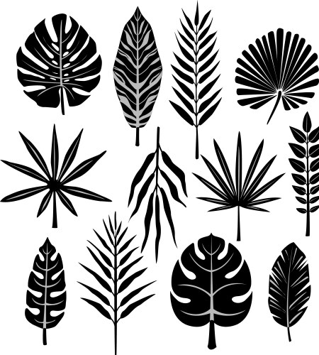 Leaf Vector Images (over 2.3 million)