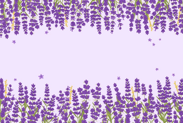 Lavanda Vector Images (over 230)