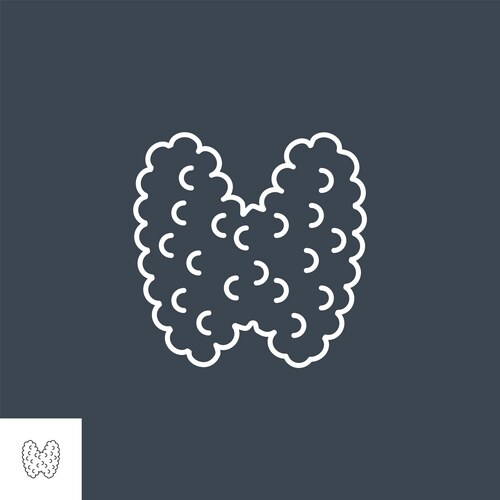 Thyroid Gland Icon Set – Royalty-Free Vector | VectorStock