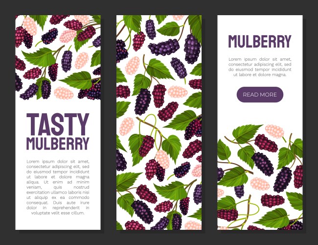 Mulberry Vector Images (over 2,800)