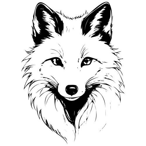 Fox Drawing Vector Images (over 25,000)