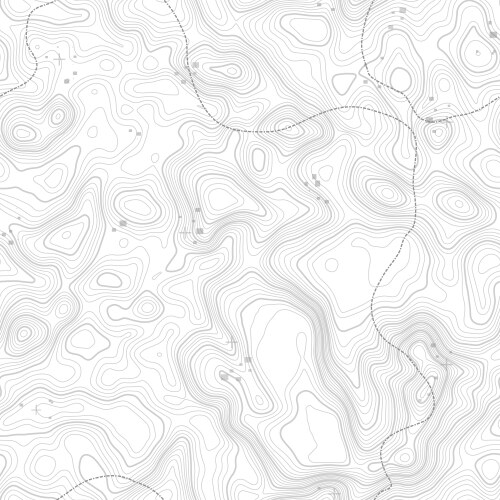 Abstract topographic map with elevation lines Vector Image