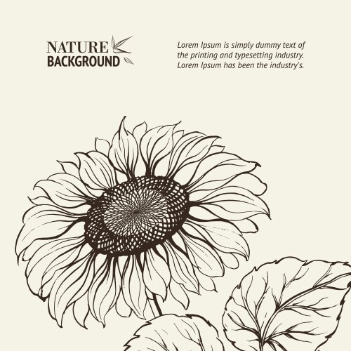 Sunflower Vector Images (over 53,000)