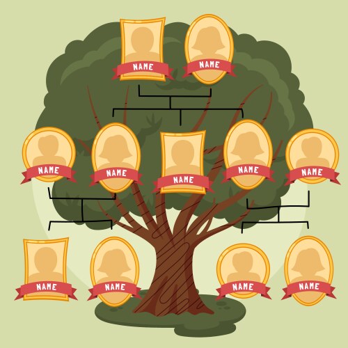 Family Tree Diagram Vector Images (over 170)