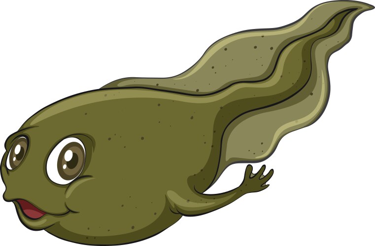 Tadpole Vector Images (over 880)