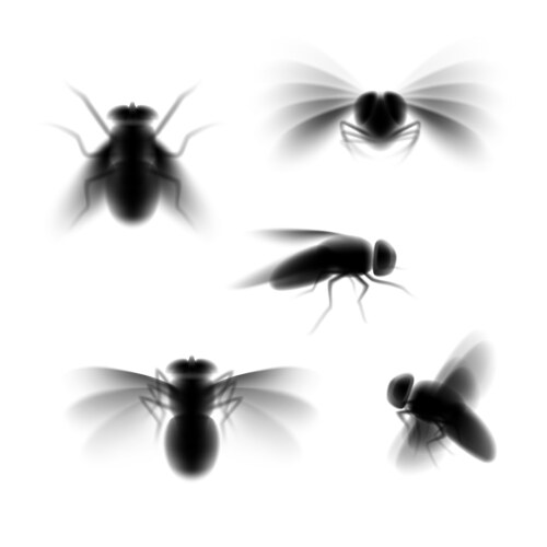 Fly Vector Images (over 830,000)