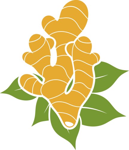 Ginger Vector Images (over 34,000)