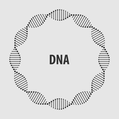 Dna helix icon human genetic symbol Royalty Free Vector