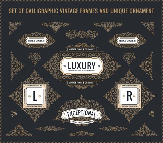 Set vintage calligraphic design elements and page Vector Image