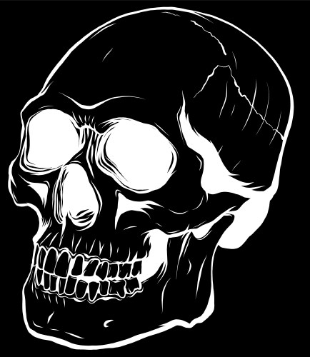 Skull Front Facing Vector Images (over 2,200)