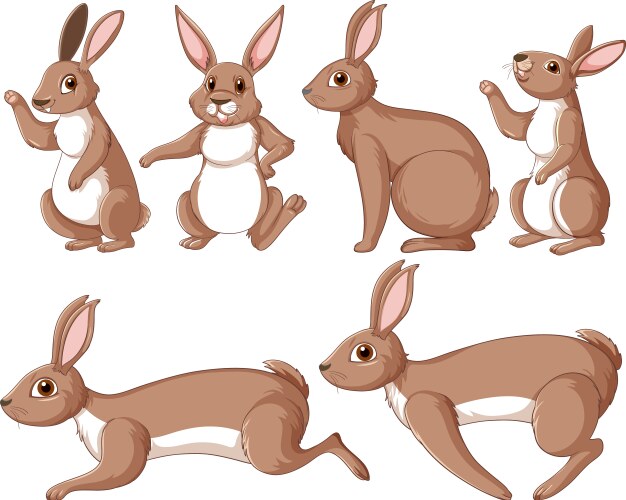 Set of cute gray hare in different pose on white Vector Image
