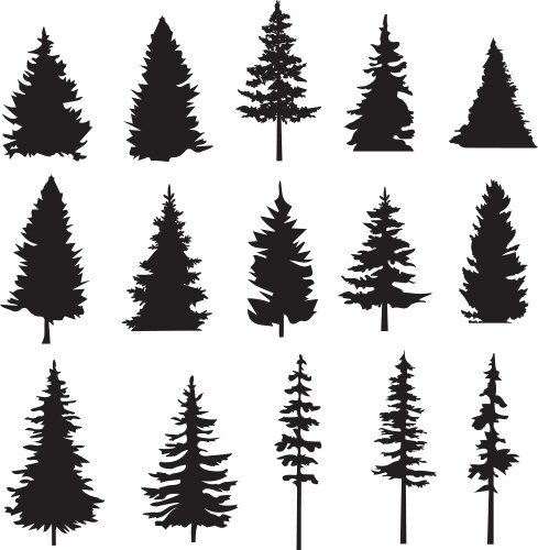 Pine trees collection Royalty Free Vector Image