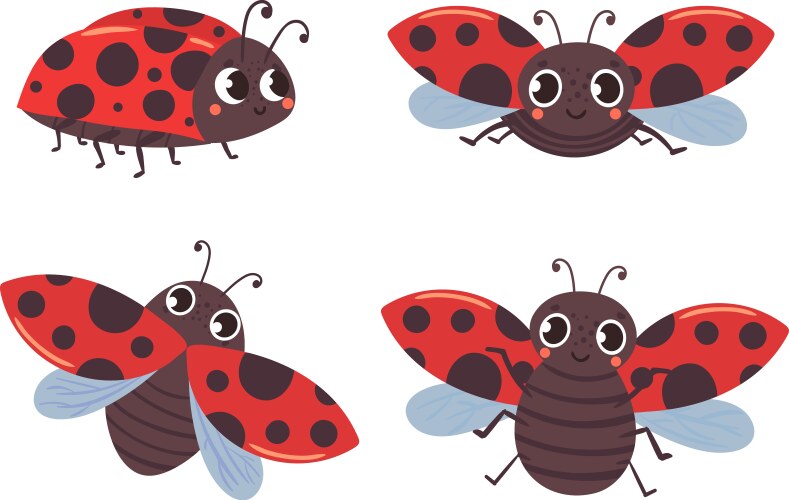 Ladybug on bike Royalty Free Vector Image - VectorStock
