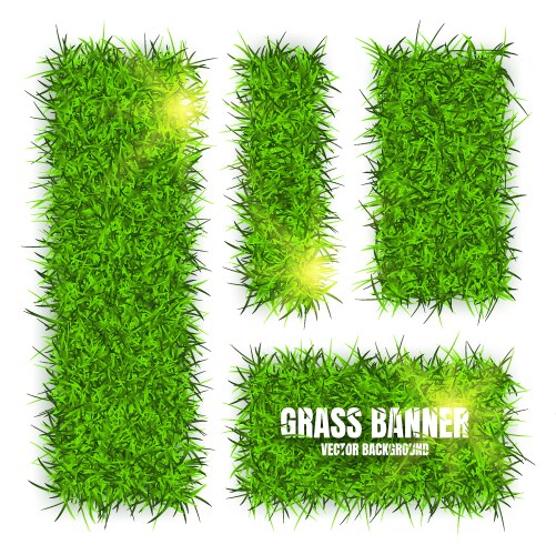 Green grass banners background field meadow Vector Image