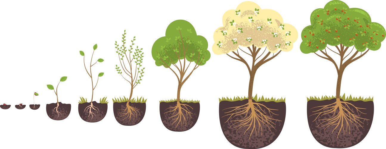 Tree of Life Vector Images (over 100,000)