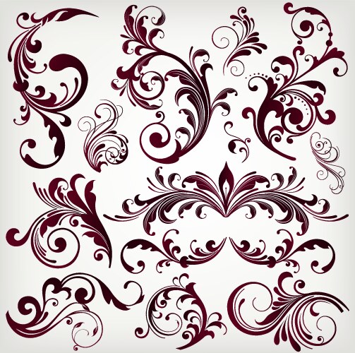 Floral design elements Royalty Free Vector Image