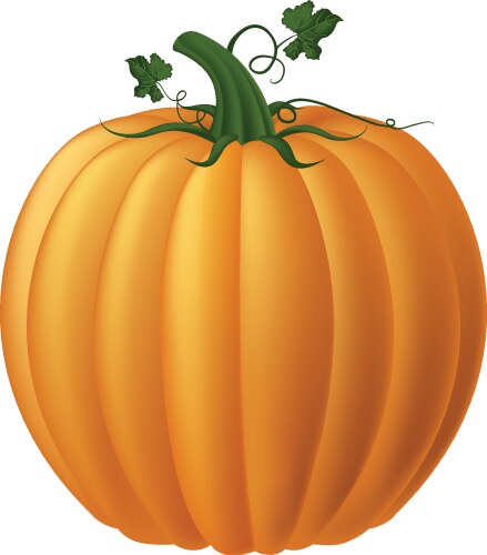 Pumpkin Stem Clipart
