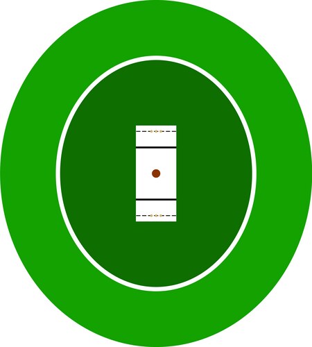 Cricket field simple symbol and background Vector Image
