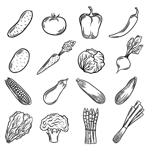Colorful outline vegetables line art set Vector Image