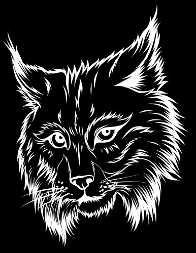 Lynx Vector Images (over 3,000)