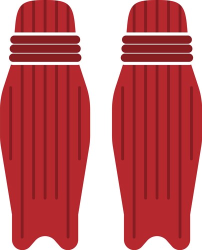 Cricket leg protection icon Royalty Free Vector Image