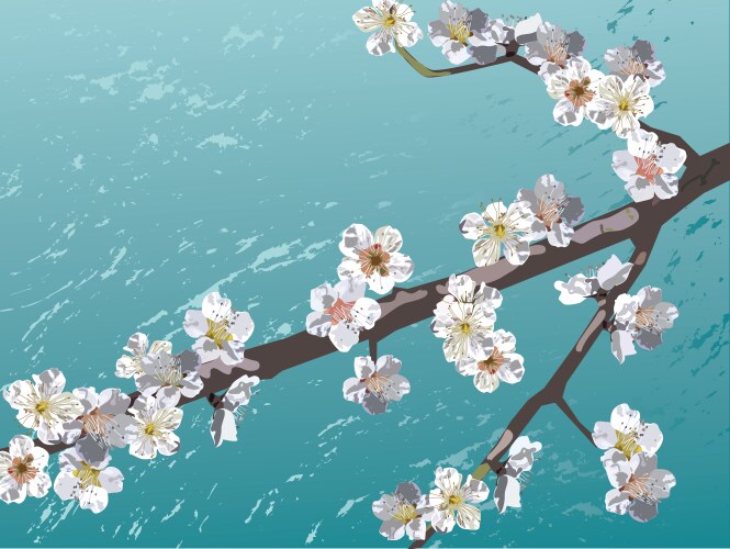 Sakura Vector Images (over 36,000)