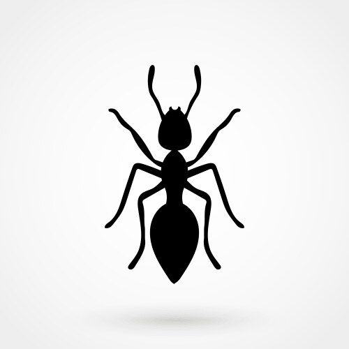 Ant line drawing Vector Images & Graphics for Commercial Use | VectorStock
