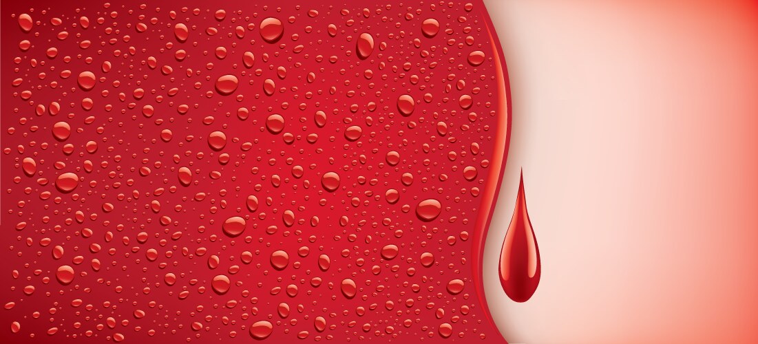 Red background with transparent water droplets Vector Image