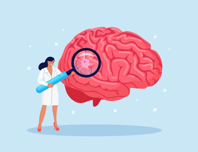 Brain Royalty Free Vector Image - VectorStock