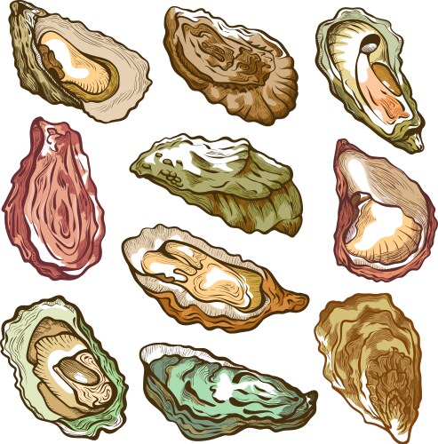 Oyster Vector Images (over 17,000)