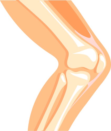 Knee Cartoon Vector Images (over 5,100)