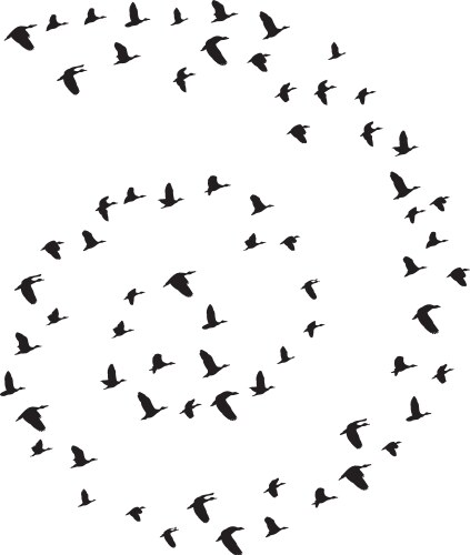 Flying bird free birds flock in flight black Vector Image