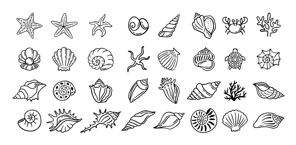 Shells doodle hand drawn style set outline Vector Image