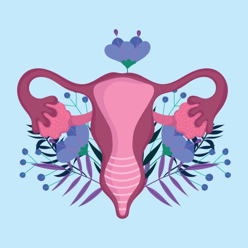 Human digestive system Royalty Free Vector Image