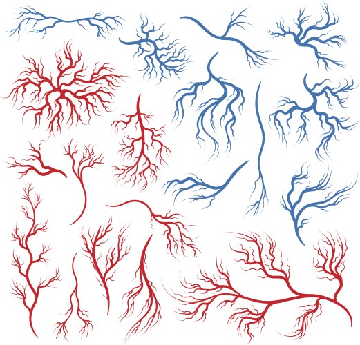 Cartoon Blood Vessel Vector Images (over 1,100)