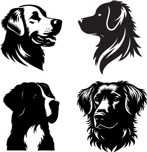 Dog head design isolated on white background Vector Image