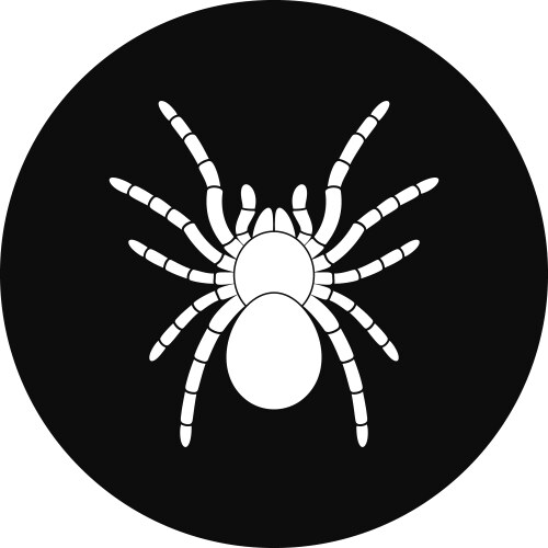 Spider Tarantula Logo Vector Images (over 1,100)