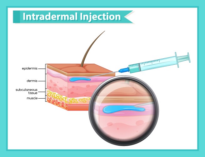 Vaccine syringe injection prevention immunization Vector Image
