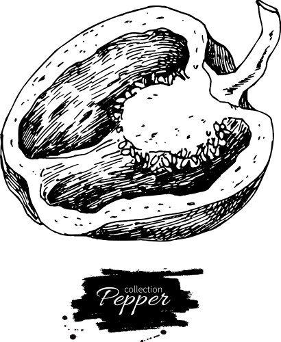 Capsicum Outline Vector Images (over 1,100)