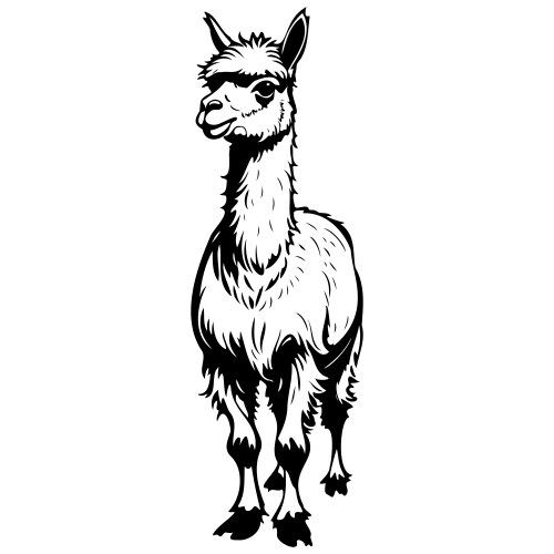 Alpaca standing sideways sketch realistic animal Vector Image