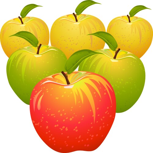 Ripe juicy apples Royalty Free Vector Image - VectorStock