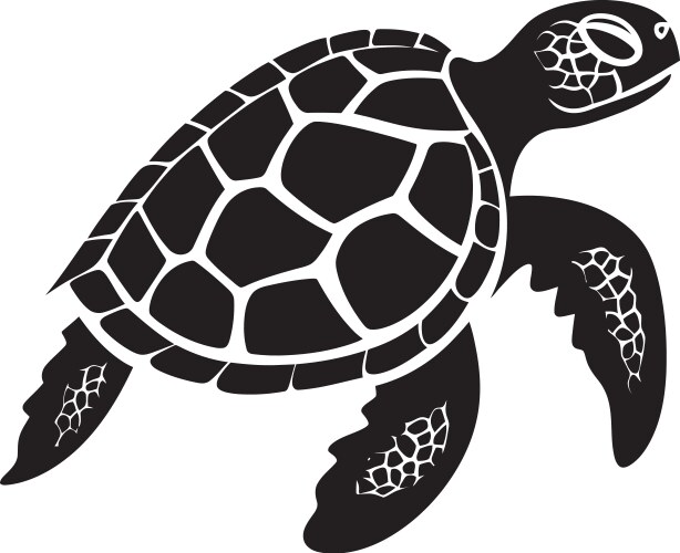 Turtle Shell Vector Images (over 11,000)