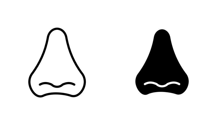 Nose icon set Royalty Free Vector Image - VectorStock