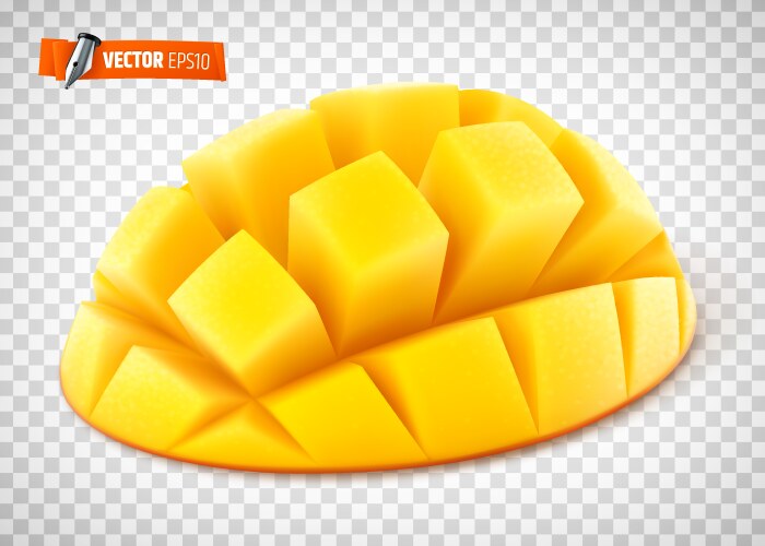 Realistic pickle Royalty Free Vector Image - VectorStock