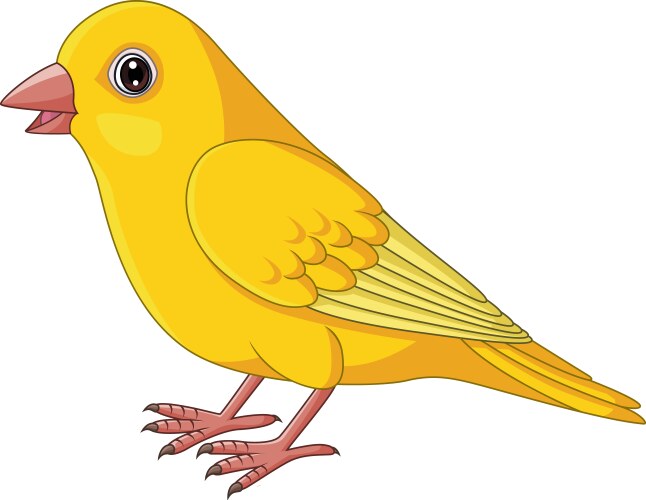 Bird Finch Cartoon Vector Images (over 1,100)