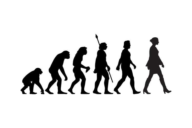 Man evolution Royalty Free Vector Image - VectorStock