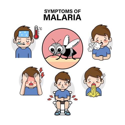 Meningitis Symptoms - Cartoon Infographic – Royalty-Free Vector ...