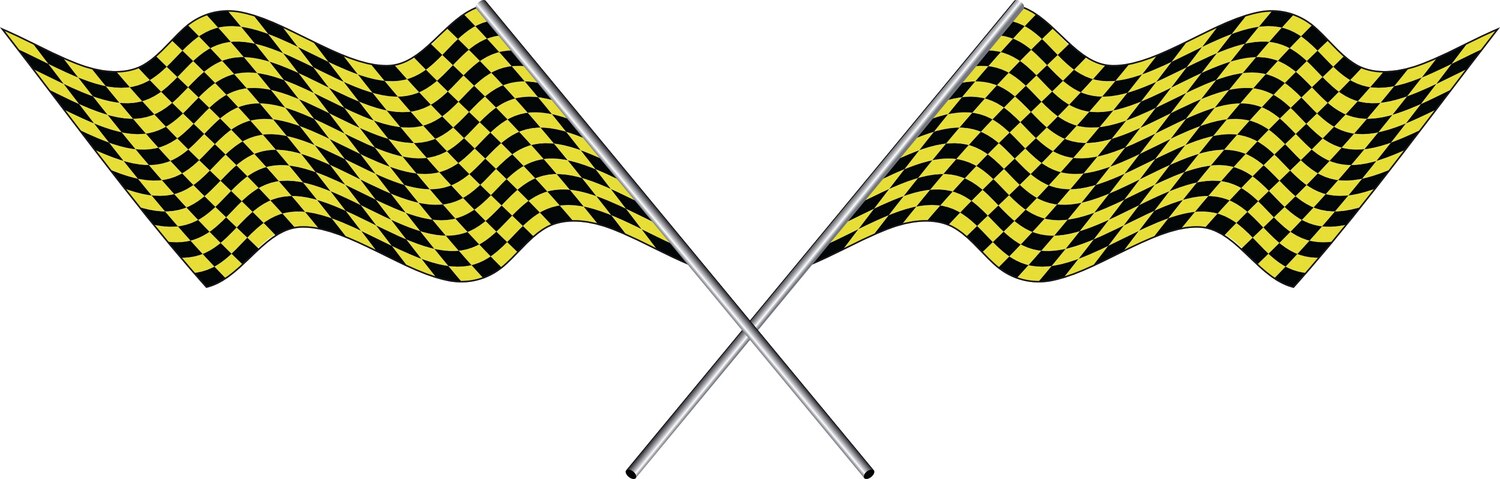 Checked flags Royalty Free Vector Image - VectorStock