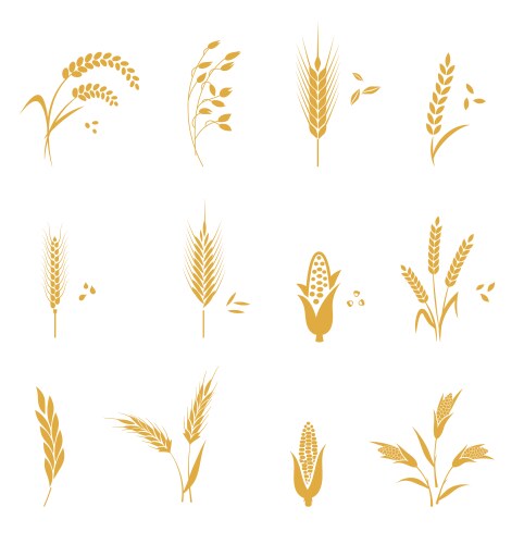 Wheat Grass Vector Images (over 5,700)